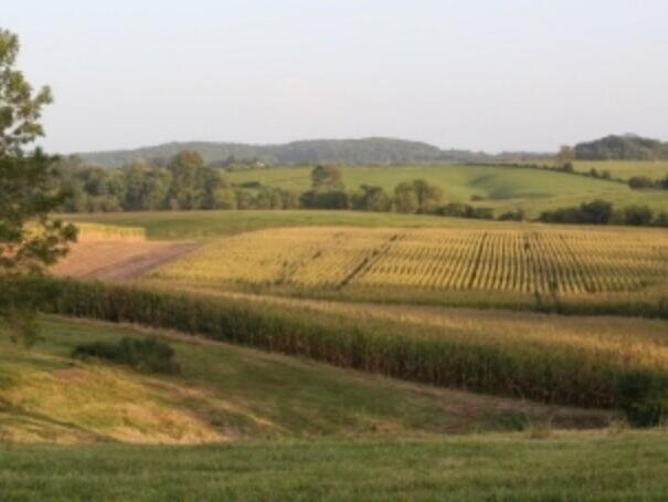 TWRA Leasing Dove Fields for 2024 Season