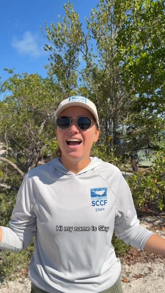 Mangrove restoration builds Sanibel coastline strength - NewsBreak