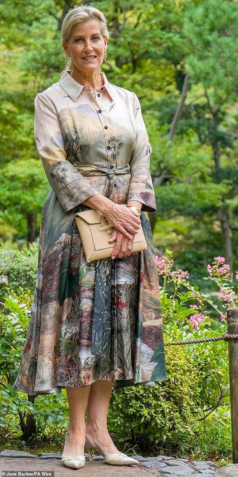 Sophie steps out in stylish £2,190 silk floral frock as she visits ...