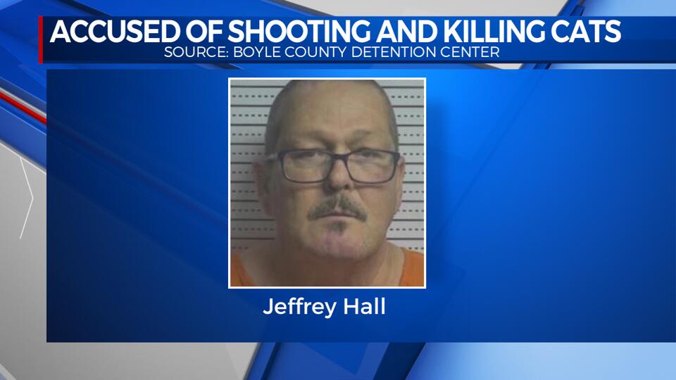 Boyle County man arrested for allegedly killing cats with a BB gun ...