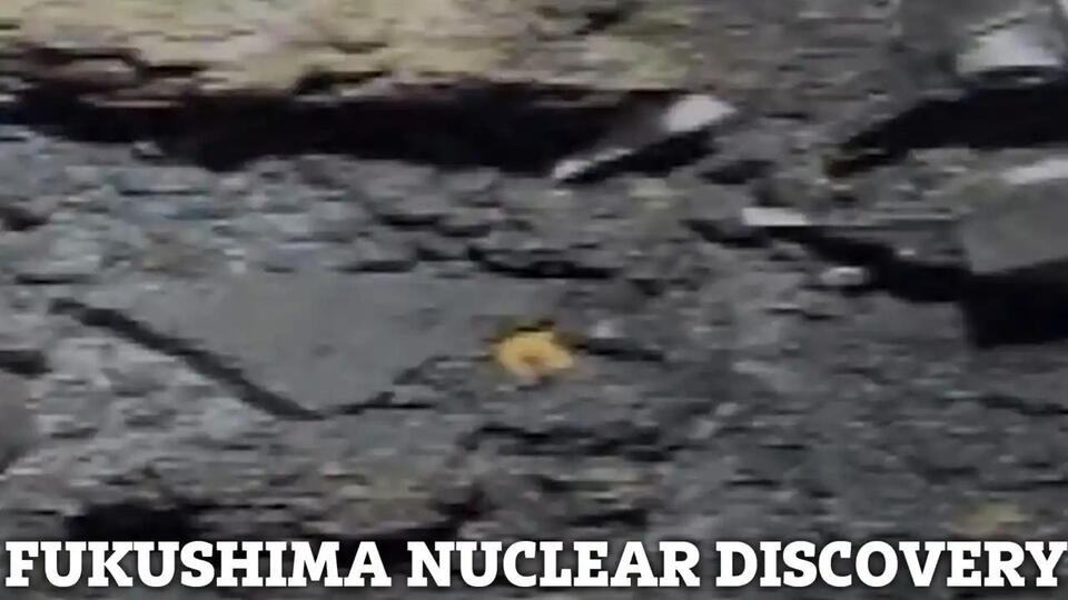 Watch robot dig out FIRST rice-size scrap from 880 TONS of irradiated ...