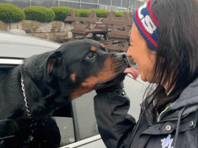 'These services are needed': SPCA Serving Erie Co. hosts low-cost ...