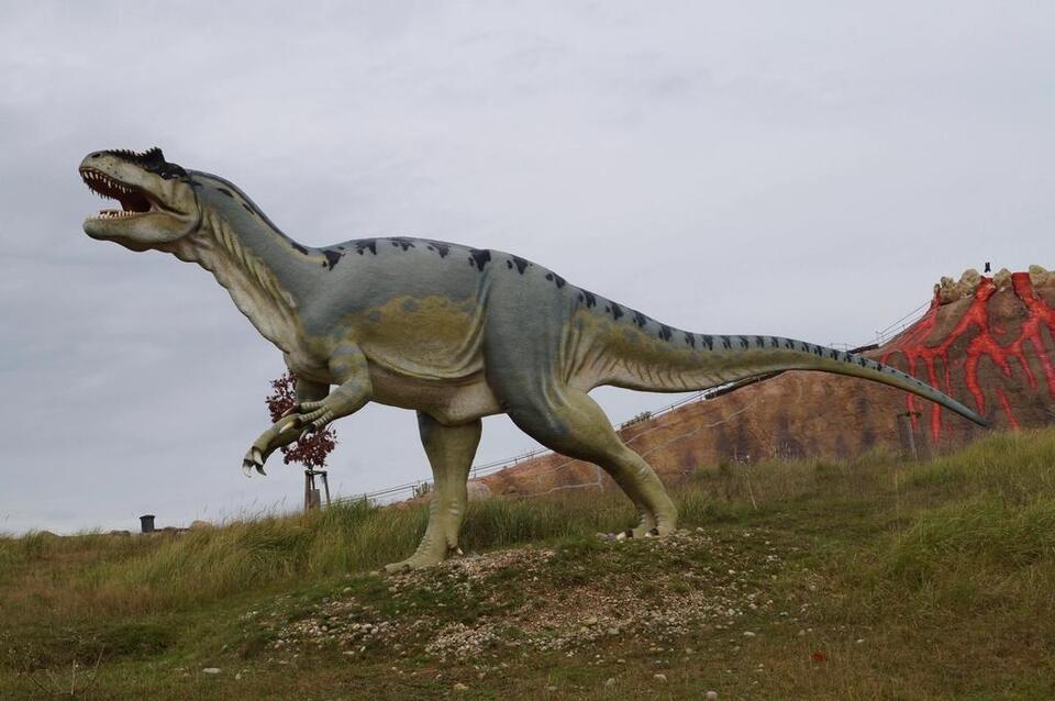 The Lost Dinosaurs of Egypt: The Fossil Find That Stunned Scientists ...