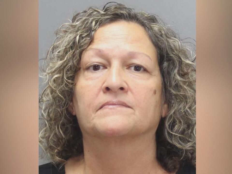Former Addison Village Clerk accused of stealing $1 million made ...