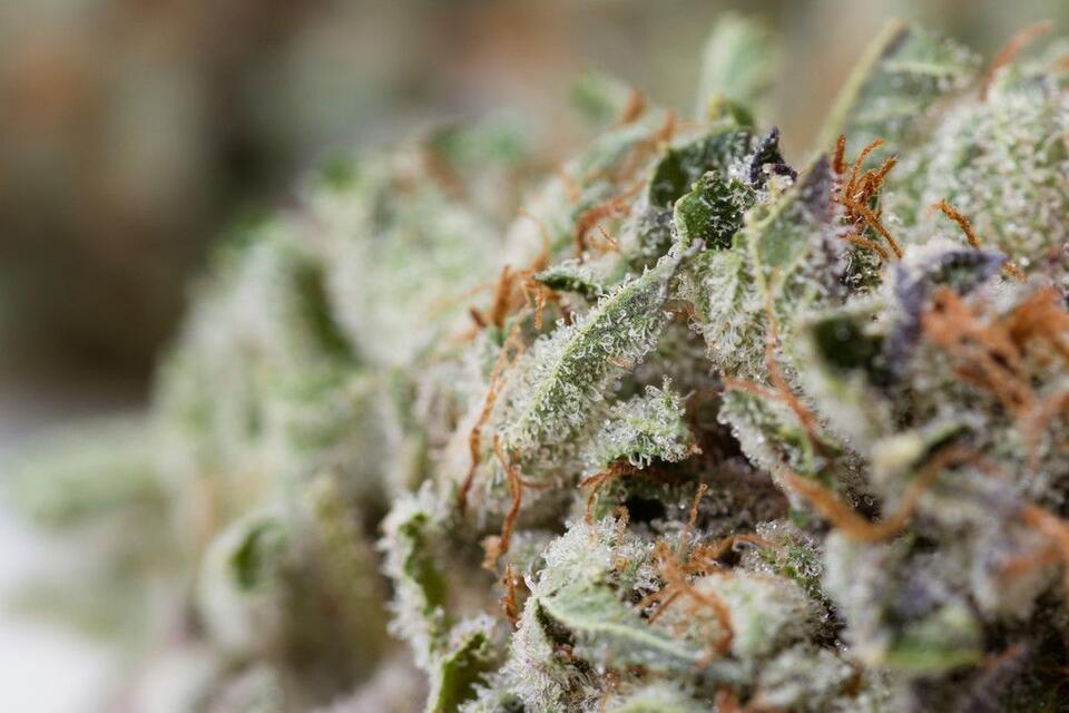 Congressional Lawmakers Urge DEA to Finalize Proposal to Reschedule ...