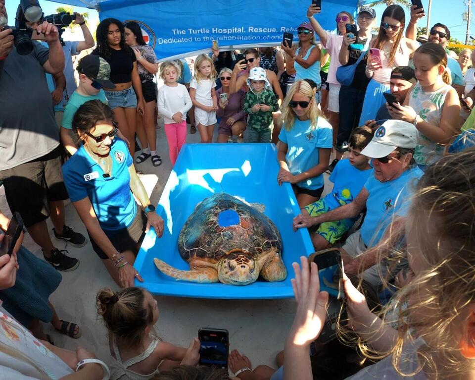 2025.11.29 turtle release kids_2.jpg - NewsBreak