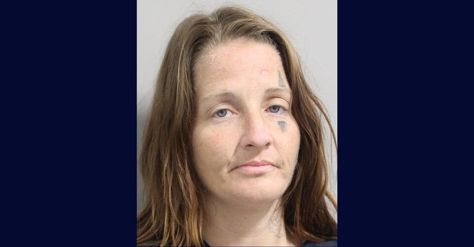 ‘Admitted that she had smoked some methamphetamine’: Florida woman in ...