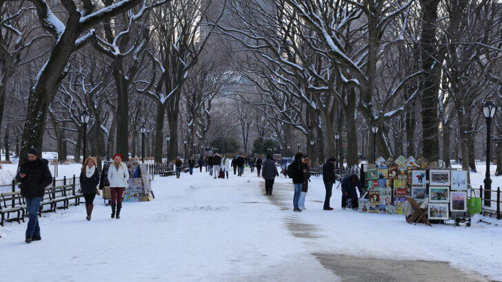 New York Braces for Incoming Winter Storm With Rock Salt at the Ready ...