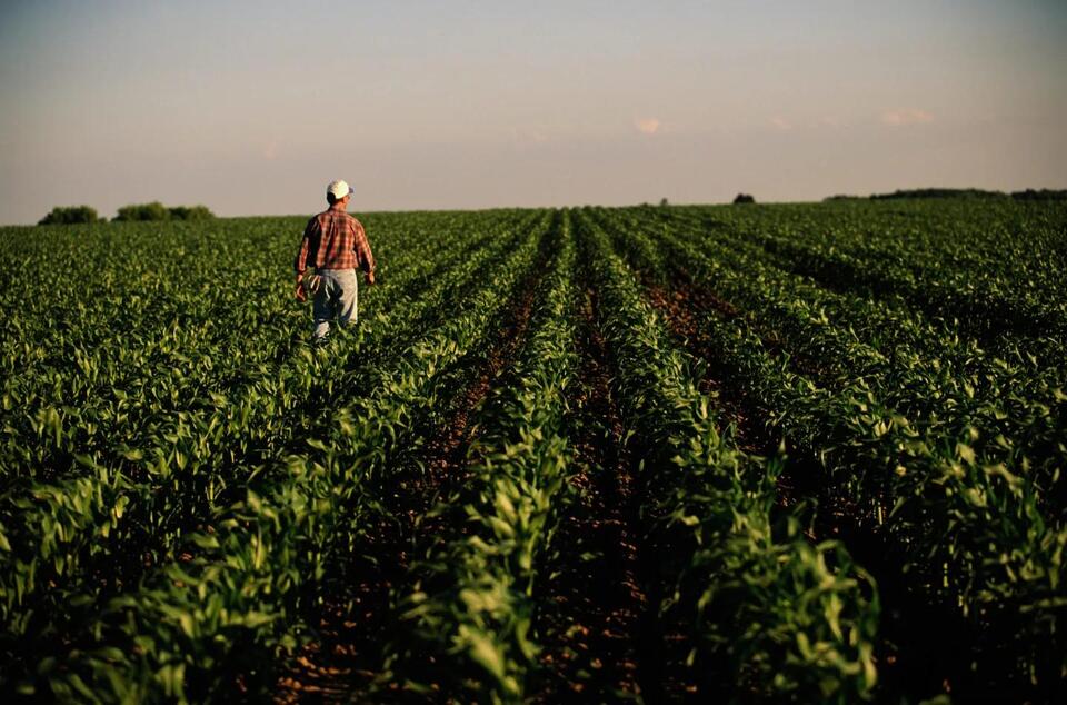 Rural America Faces Economic Struggles as Crop Prices Fall — ‘U.S ...