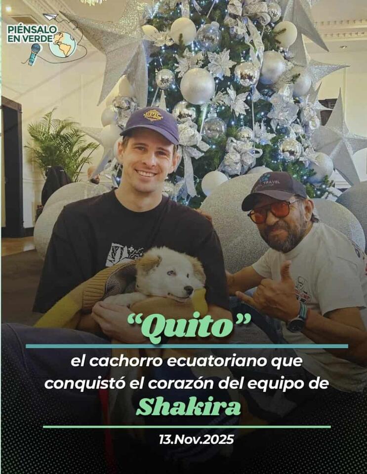 Meet ‘Quito’, the little dog who changed his life after the Shakira concerts and was adopted by ...