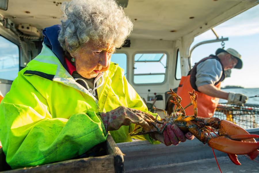 ‘Lobster Lady’ of Maine, whose dedicated following includes Mark Hamill ...