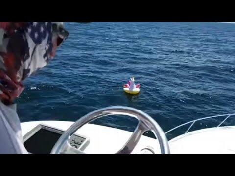 Fisherman In An Inflatable Unicorn Gets Drug 2 Miles Off Shore By ...