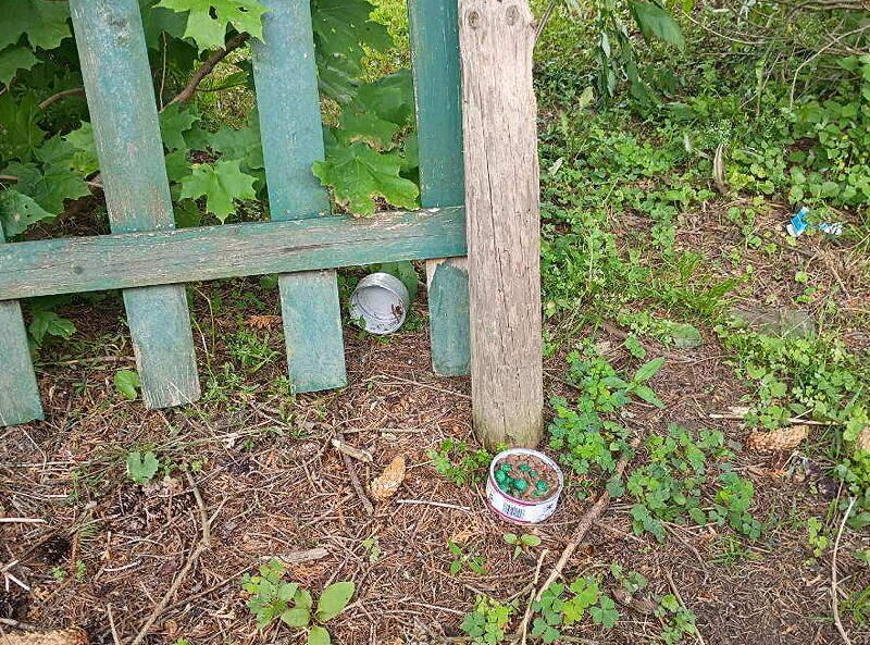 Keep pets indoors and watch for tampered food around Pleasant View in ...