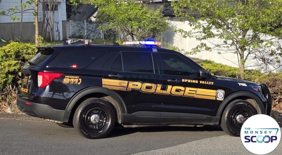 Spring Valley Police Announce Federal Conviction of Local Brothers on ...