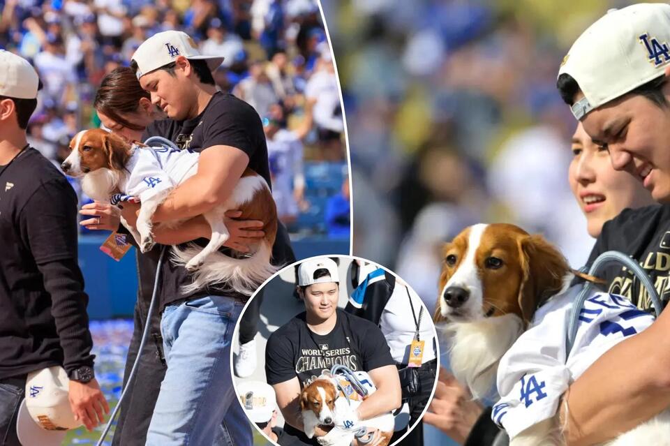 Shohei Ohtani’s adorable dog takes center stage at Dodgers’ World ...