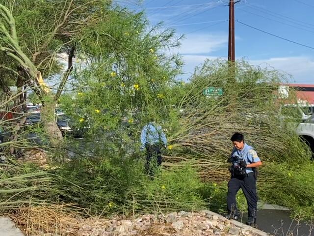 LIVE UPDATES: Crews clear damage from Tucson streets after Tuesday storm