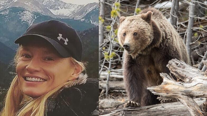 West Yellowstone grizzly bear victim identified, attack ‘not predatory ...