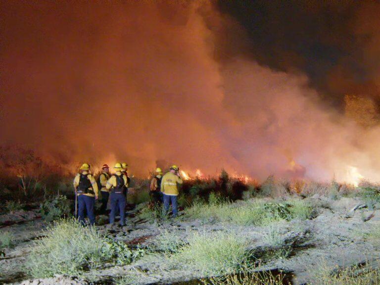 Sepulveda Basin Fire Consumes Brush in Encino
