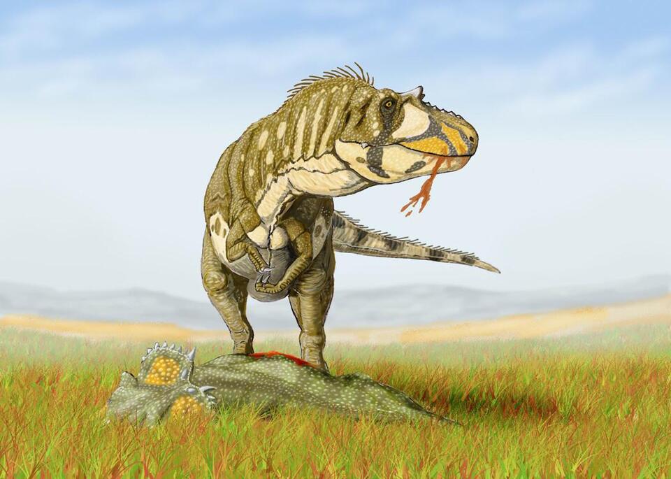 6 Dinosaurs Found in Places You Wouldn’t Expect - NewsBreak