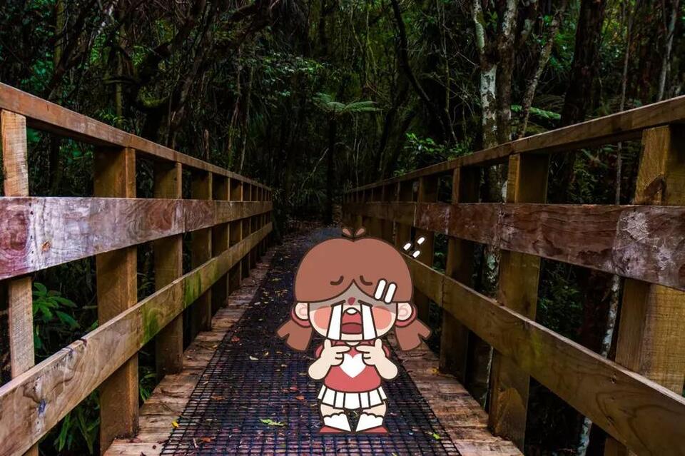 Dare To Visit? The Creepy Stories Surrounding Michigan’s Crybaby Bridge ...