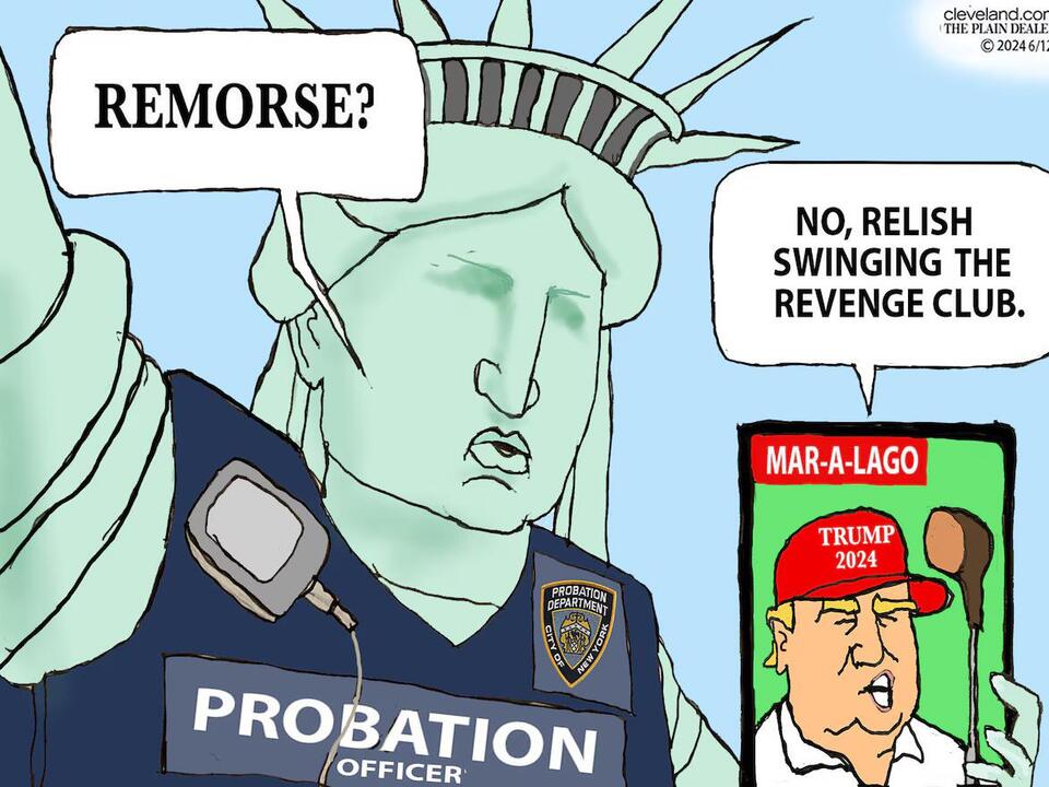 Trump probation interview: Darcy cartoon