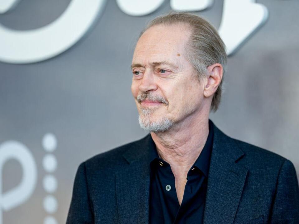 Steve Buscemi’s Alleged Attacker Arrested in New York City