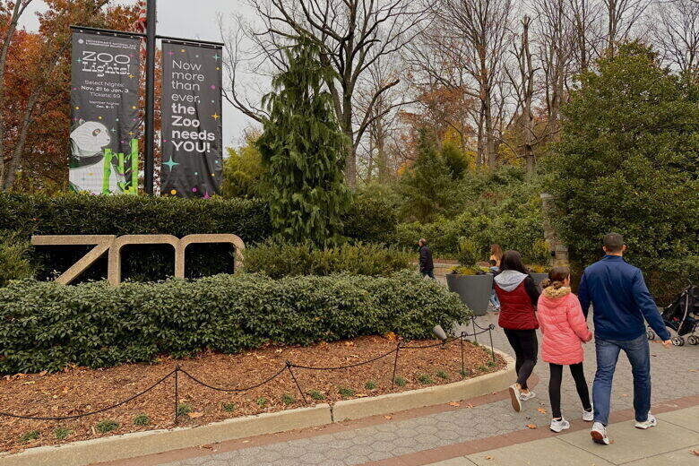 The shutdown is over and DC’s National Zoo is finally open - NewsBreak