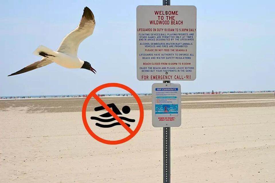 Wildwood Police And Beach Patrol Ban Swimming During Hurricane Erin ...