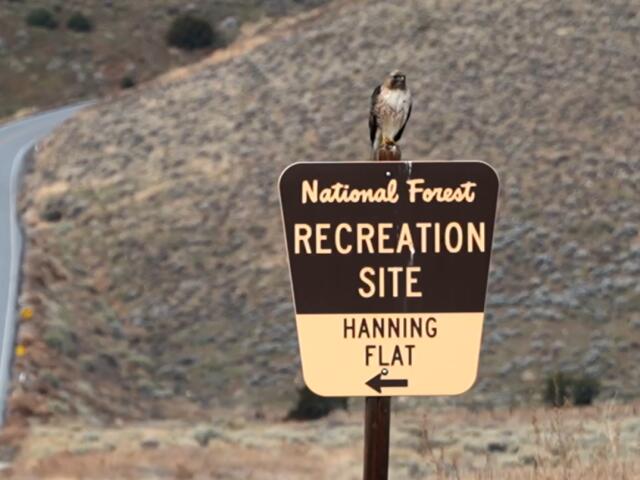 Nature Preserve in Kern River Valley Has History and Wildlife to Maintain