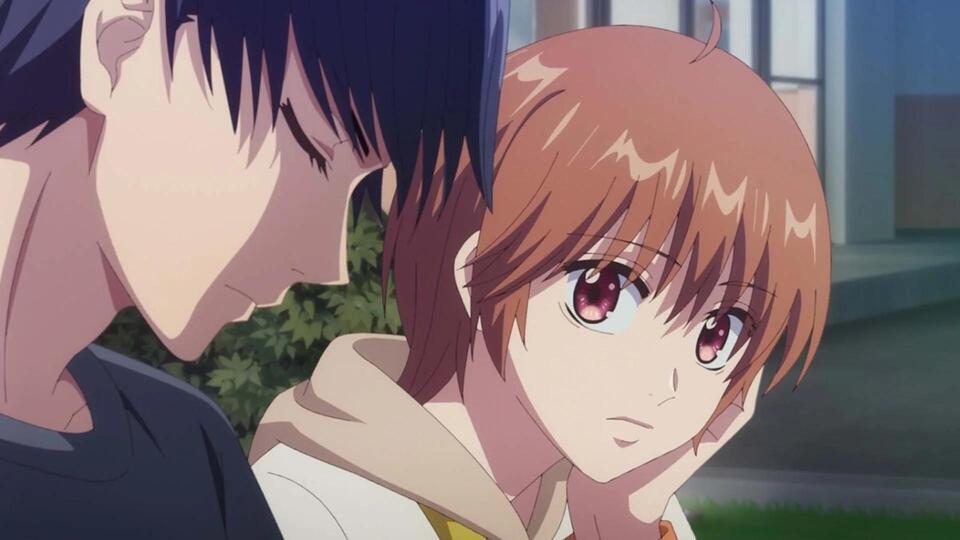 Hana-Kimi Anime Release Dates, Schedule and Episodes - NewsBreak