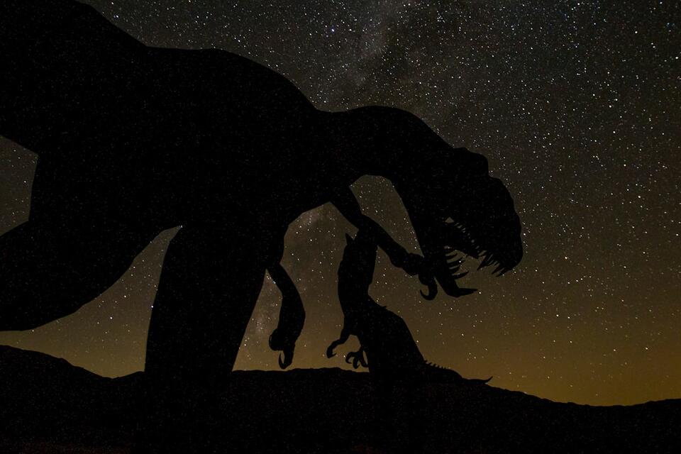 Which Dinosaur Are You According To Your Zodiac Sign - NewsBreak