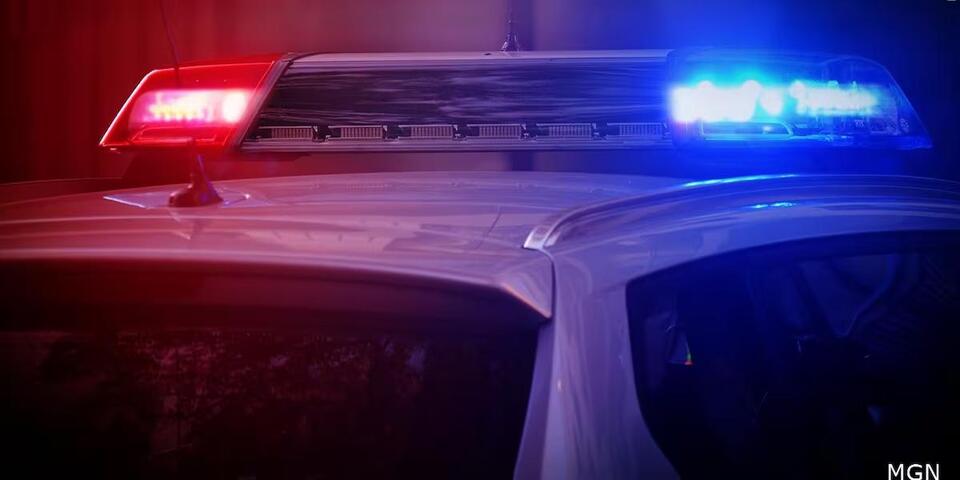 TPD: Weekend dog attack sends Tallahassee child to hospital - NewsBreak