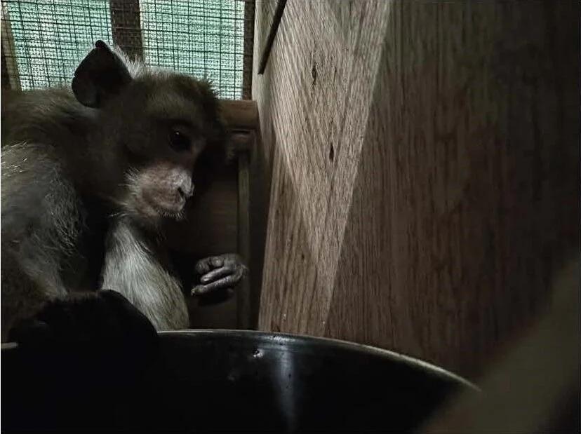USDA issues critical violation at Immokalee facility after death of ...