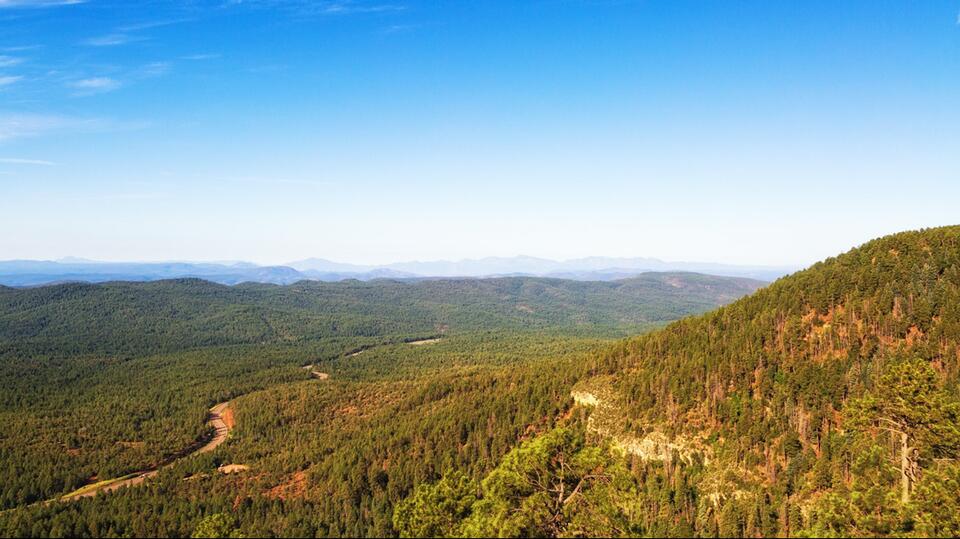 Woman camping with friends falls to her death near Mogollon Rim - NewsBreak