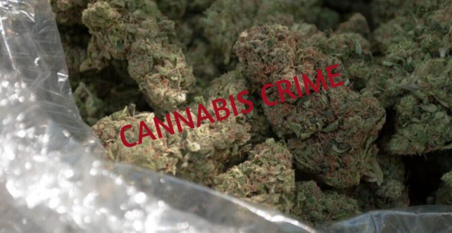 300 Pounds of Unlicensed Marijuana Seized During Traffic Stop South of ...