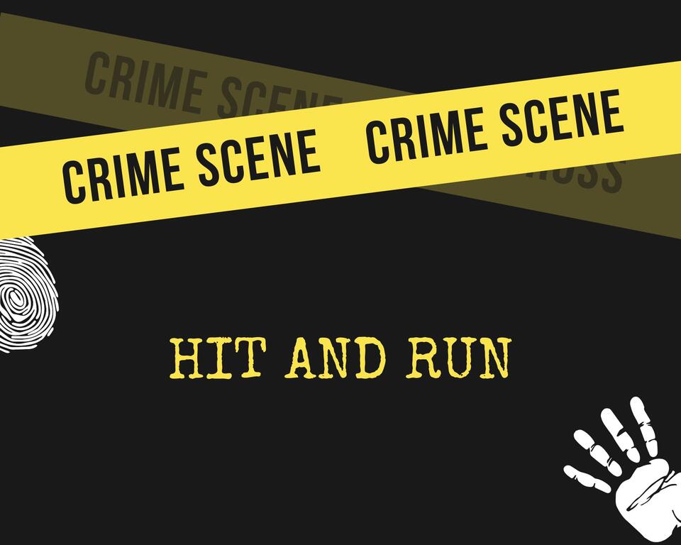Driver Charged in Grapeland Hit and Run - NewsBreak