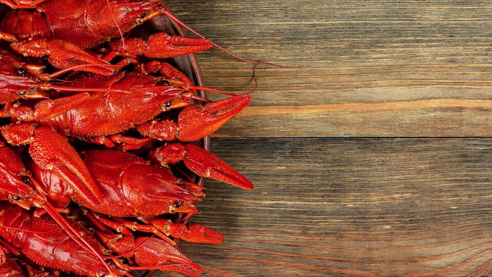 Louisiana crawfish prices start high heading into MLK Day holiday ...