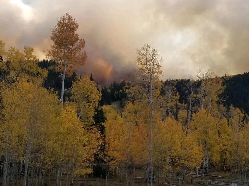 Fast-burning Yellow Lake Fire grows to 1,500 acres near Mill Hollow ...
