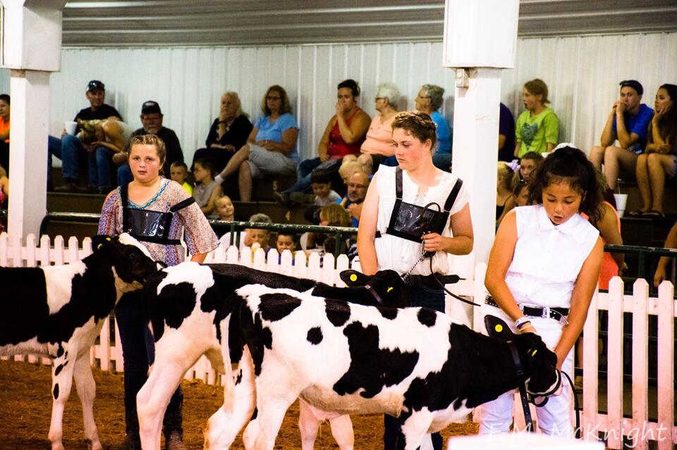 County fairs and festivals provide affordable family entertainment ...