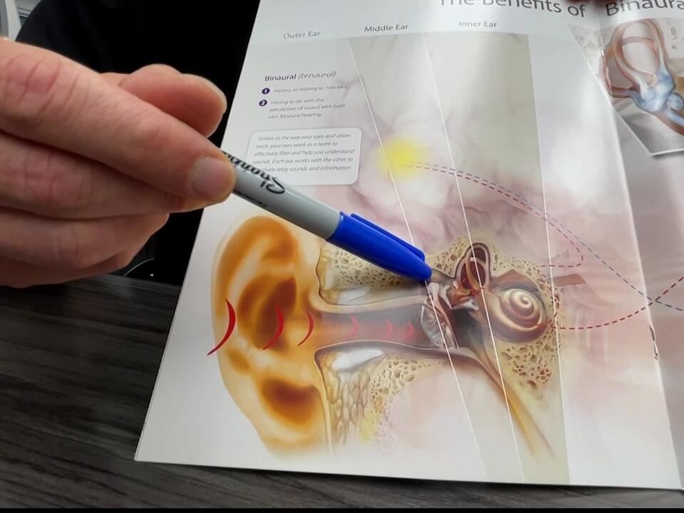 Our ears are more delicate than we think - and the sounds of NYC might ...