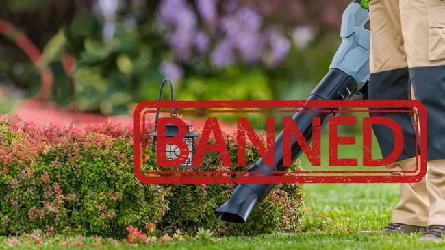 Michigan Residents To Receive Hefty Fine For Using Leaf Blowers - NewsBreak