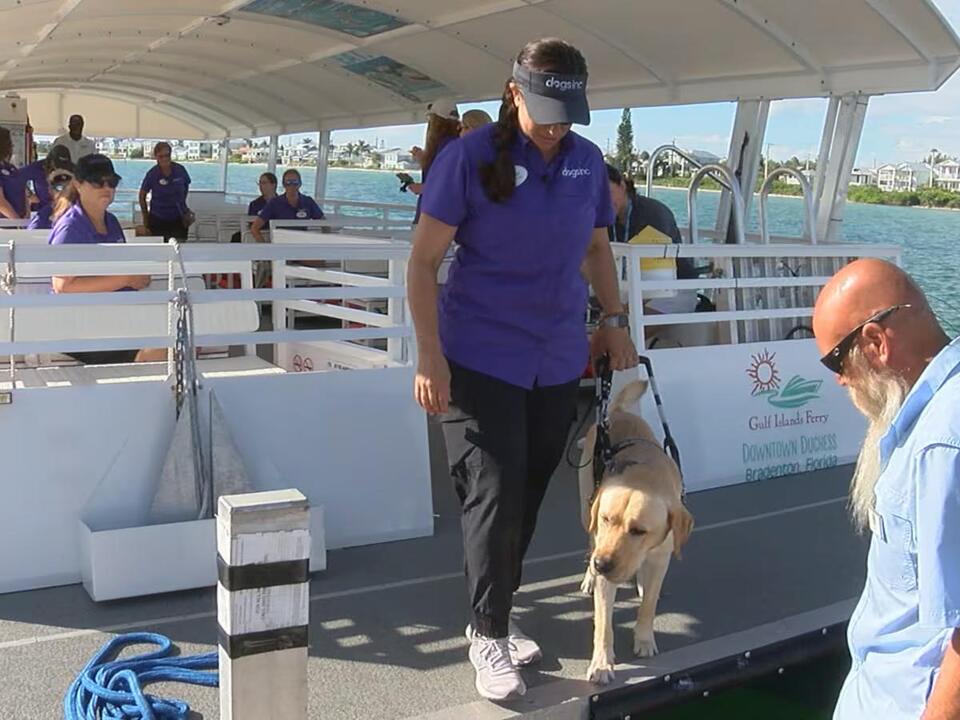 Guide dogs train on Gulf Islands Ferry