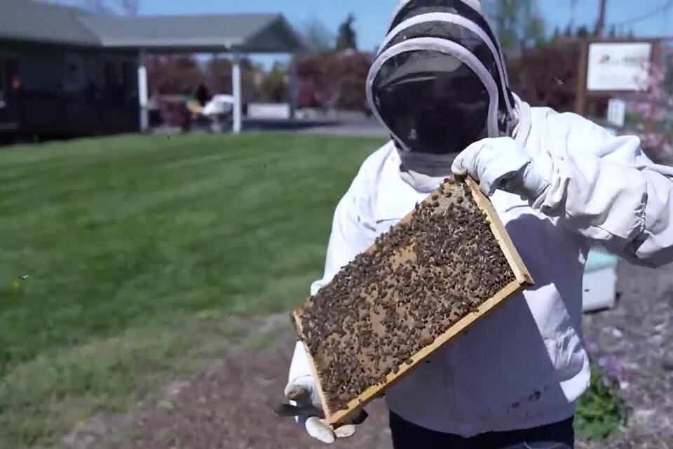 Satiate the travel bug with a trip to Salem sweet spot Flying Bee Ranch ...