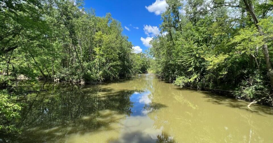 PFAS is poisoning Detroit’s future: Rouge River shows why rules must be ...