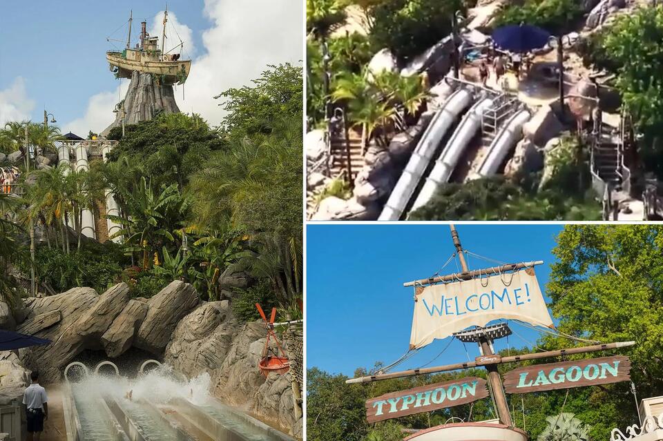 Disney parkgoer was knocked unconscious, left ‘coughing up blood’ on ...