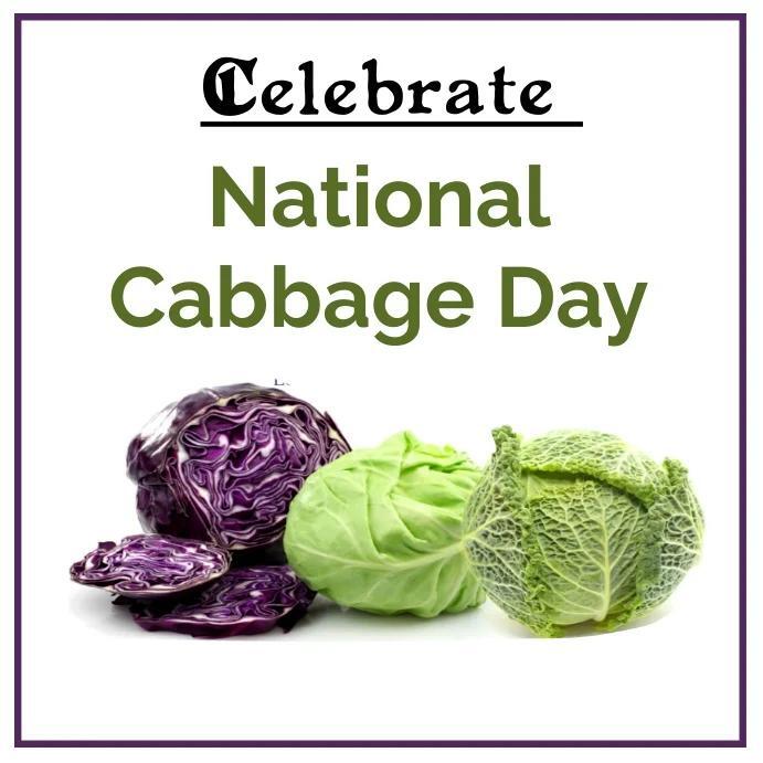 National Cabbage Day proves this veggie is a kitchen hero - NewsBreak