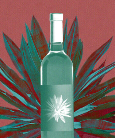 What Is Agave Wine? And How Can I Use It in Cocktails? - NewsBreak