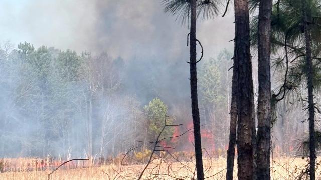NC Forest Service map shows spread of fire danger - NewsBreak
