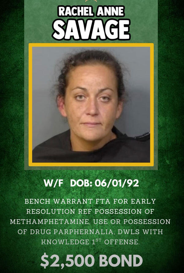 WHEEL OF FUGITIVE: Brevard Sheriff’s Office Names Rachel Anne Savage ...