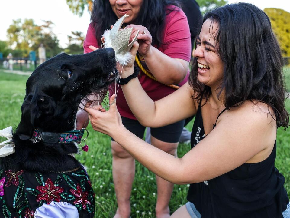 Four-legged royalty: Prom goes to the dogs at the Glass City Dog Park